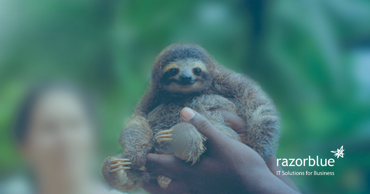 razorblue become the first company in the world to employ a team of ...